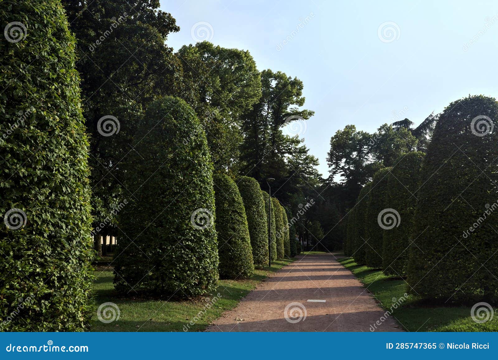 Path in a Park at Sunset Bordered by Trimmed Hedges Stock Image - Image ...