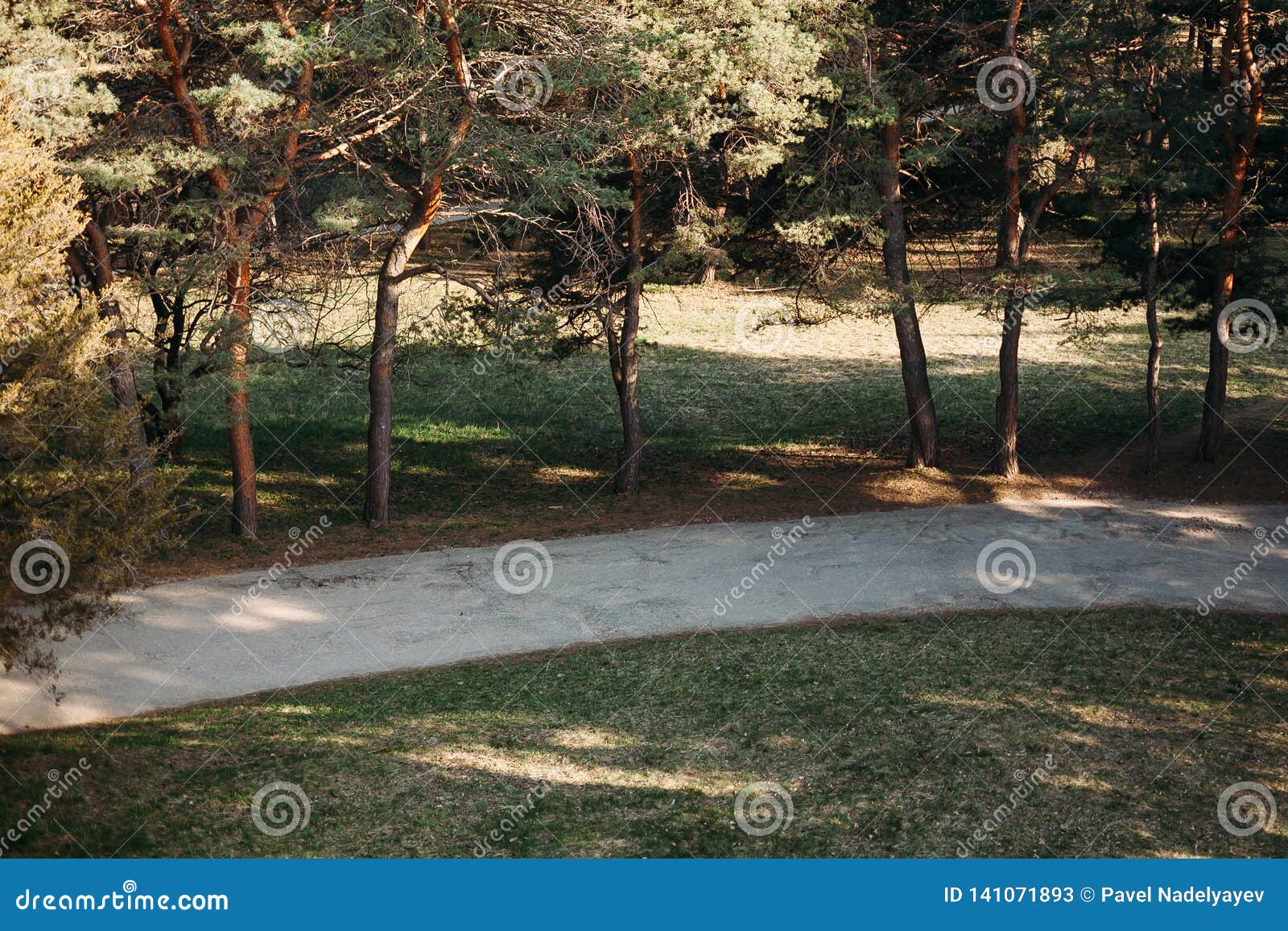 Path in Park Top View Outdoors Stock Image - Image of view, leaf: 141071893