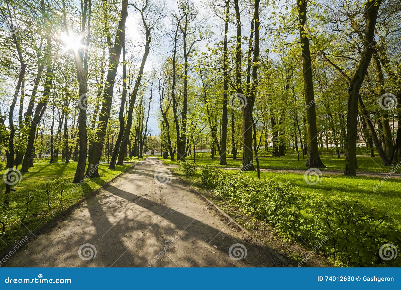 The path in the park. stock photo. Image of cloudy, plant - 74012630