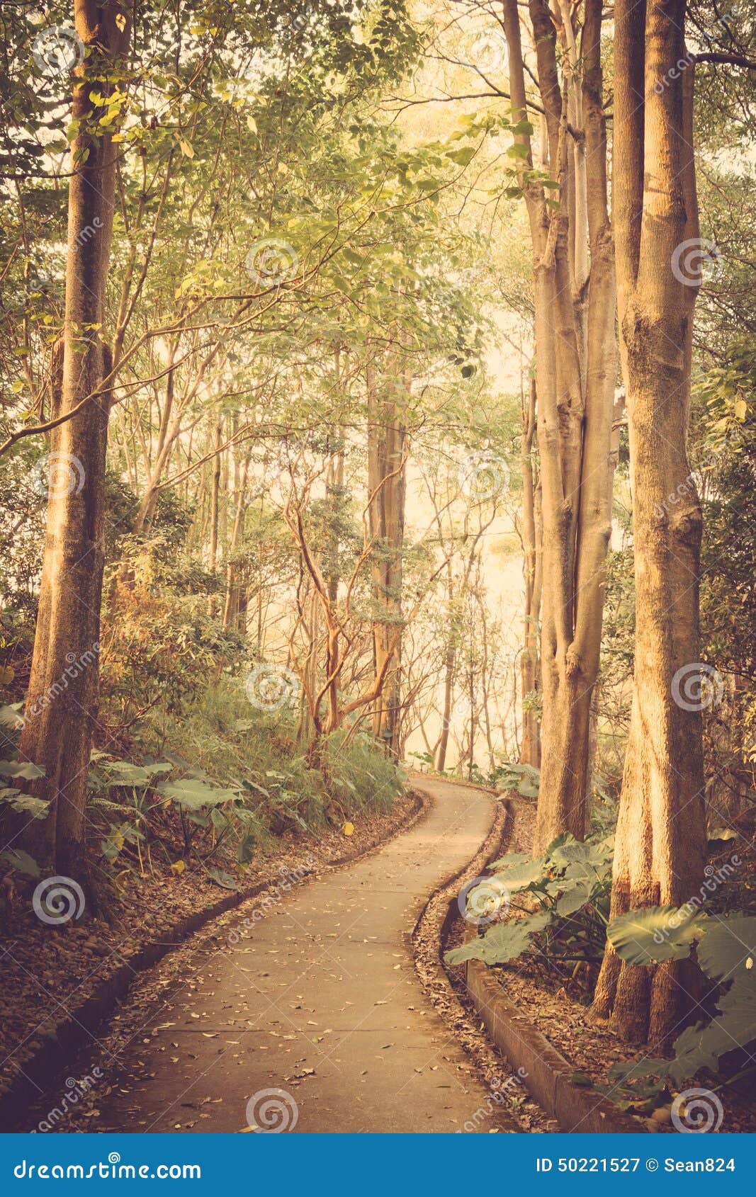 Path in the Park Vintage Retro Stock Image - Image of path, green: 50221527