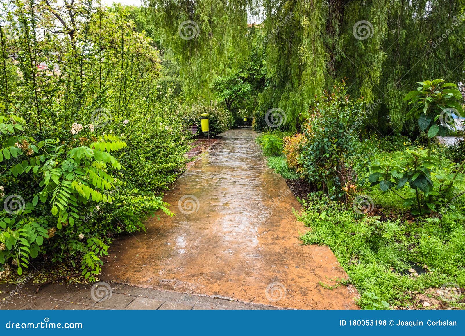 Path through a Park with Waste Bins on a Rainy Day Stock Photo - Image ...