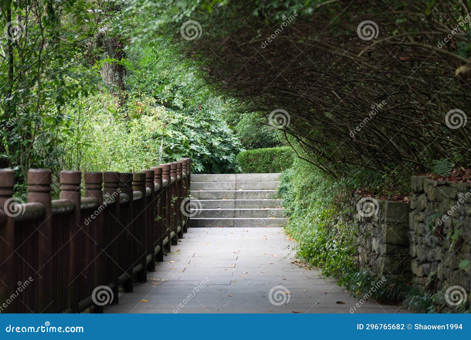 Path in the park stock photo. Image of road, direction - 296765682