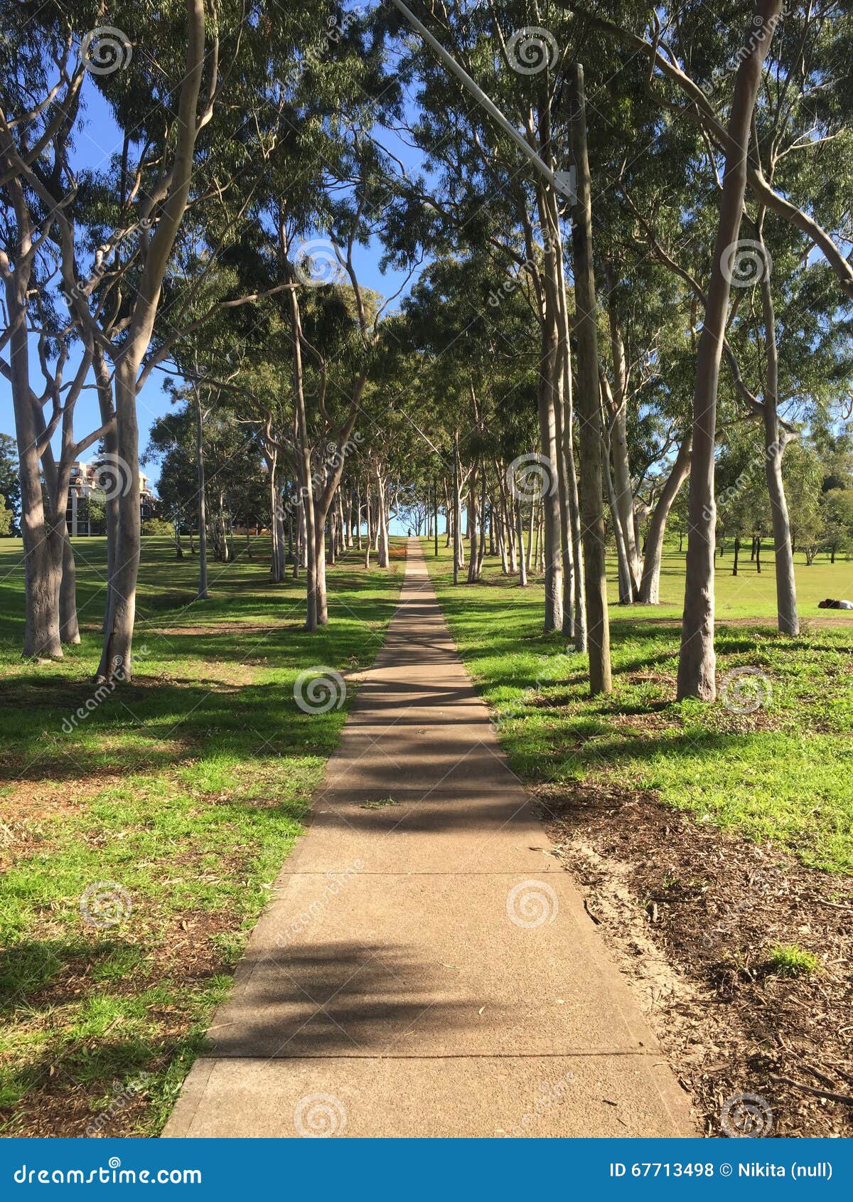 A Path in Parramatta Sydney Australia Stock Photo - Image of warm ...