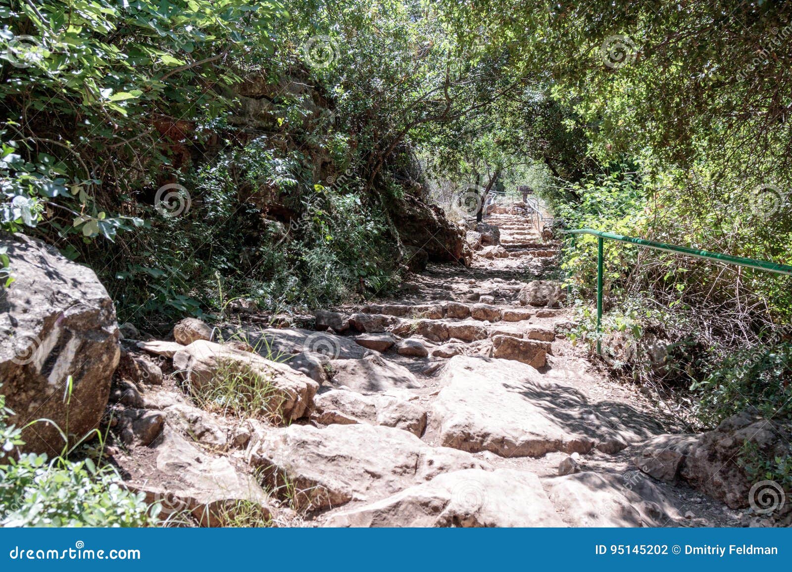 Path Passing through a Wooded Slope and Descending To the Amud River ...