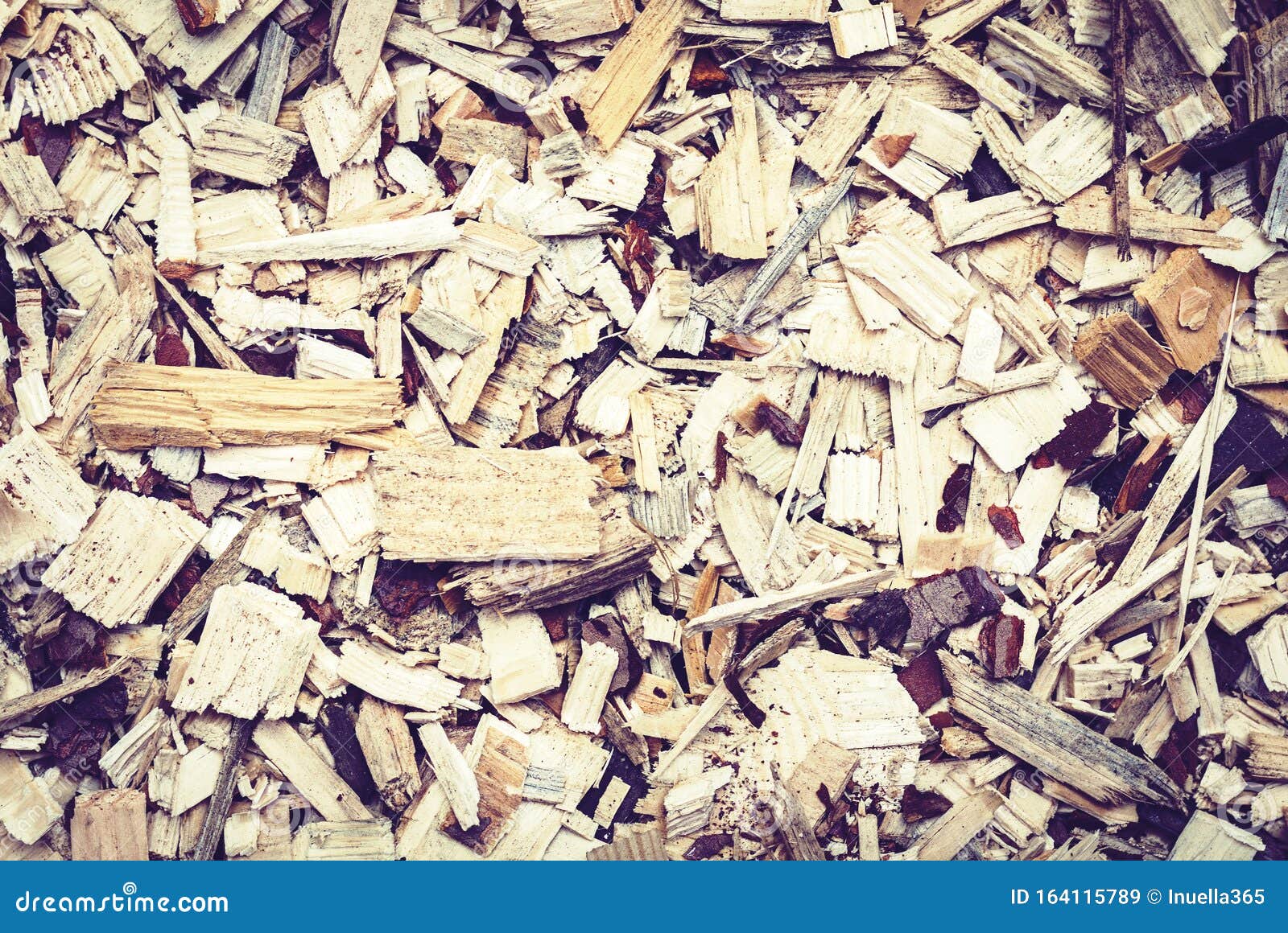 Path Paved with Decorative Wooden Slivers Stock Image - Image of design ...