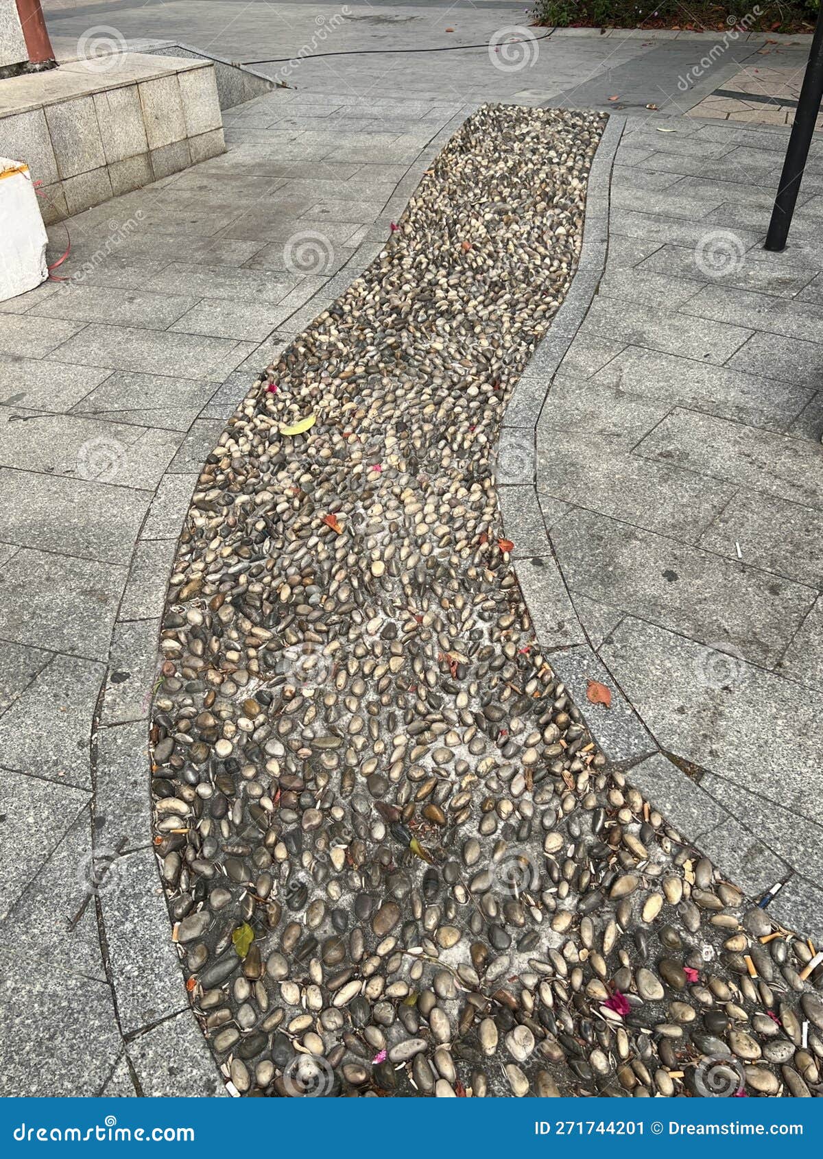 A Path Paved with Goosestones Stock Image - Image of track, design ...