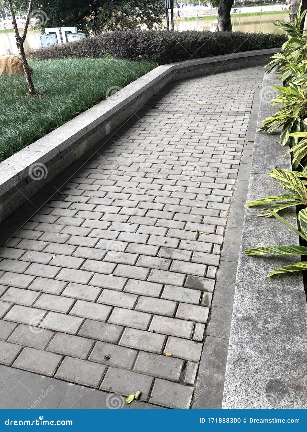 A Path Paved with Gray Bricks Â Stock Photo - Image of path, straight ...