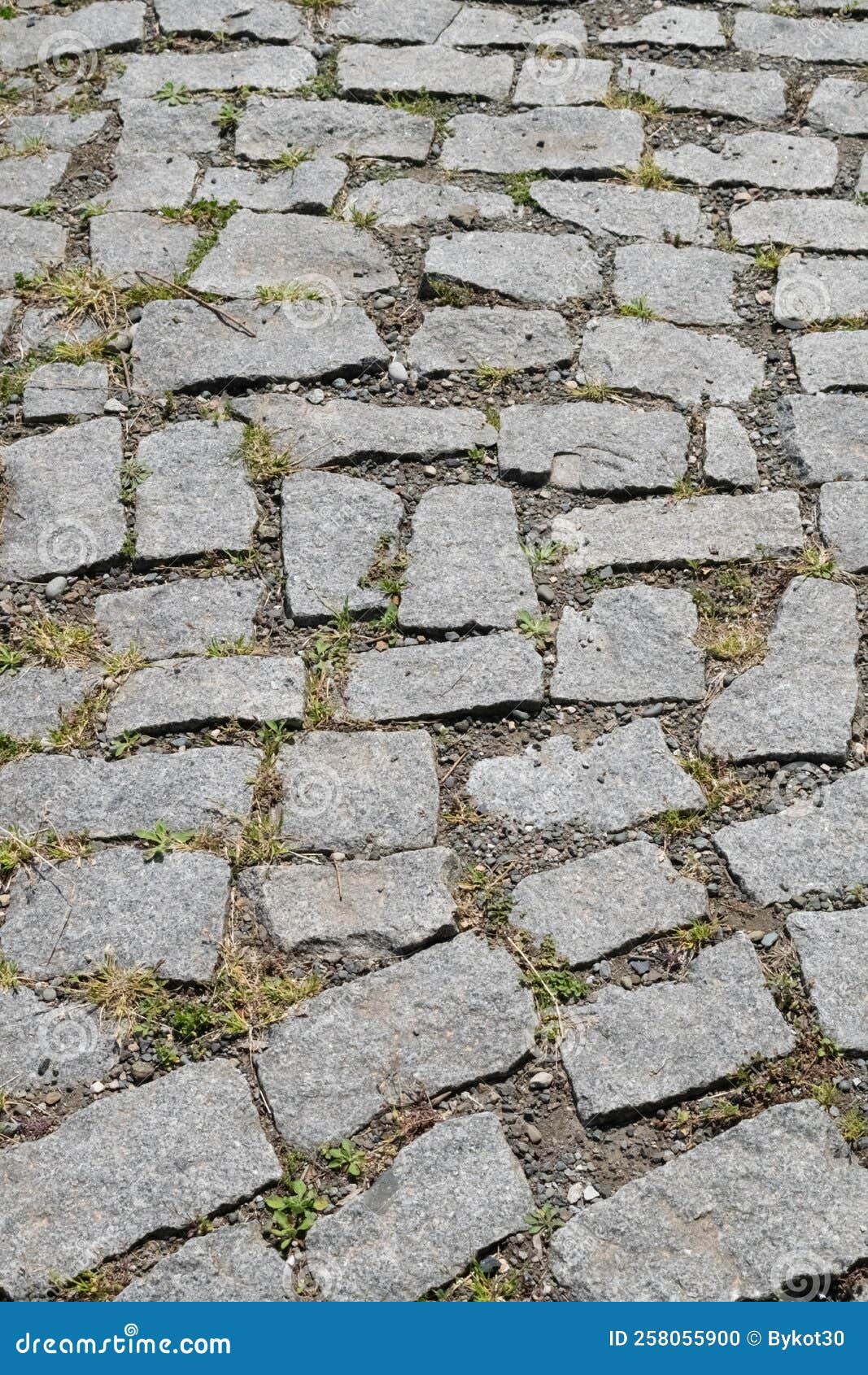 Stone Path in the Park. Improvement of the Territory Stock Photo ...