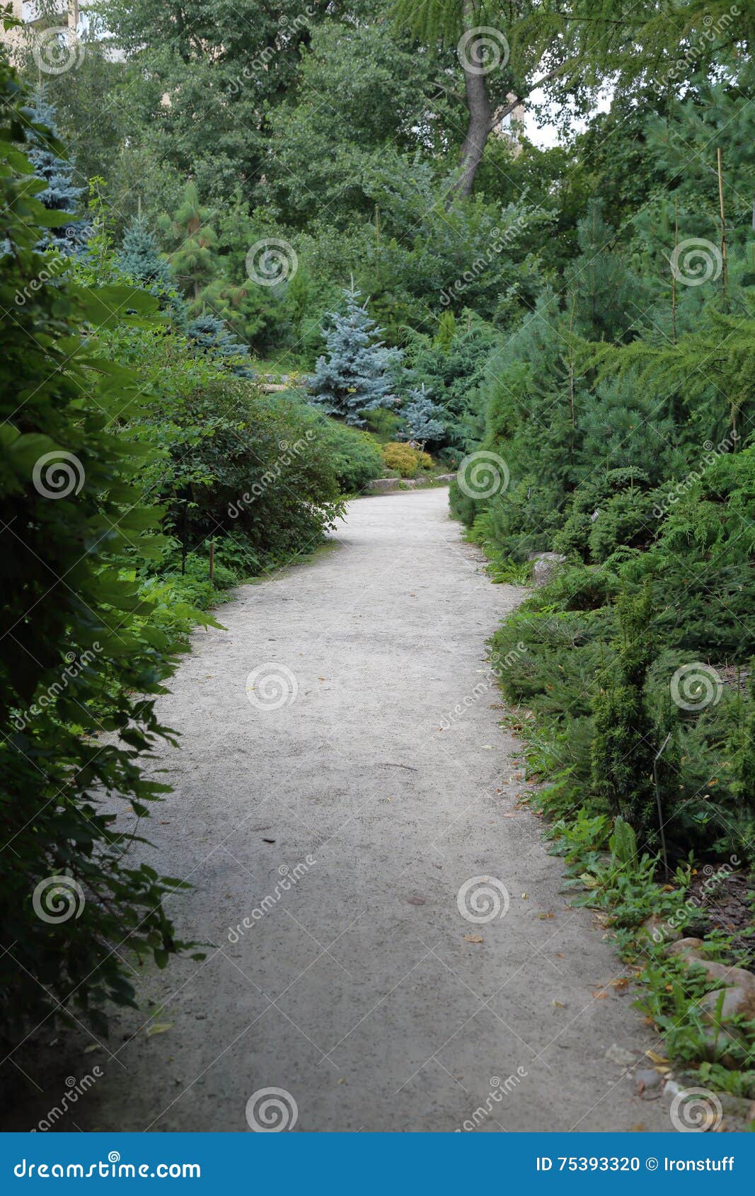 Path for Pedestrians in the Park Stock Photo - Image of walking ...