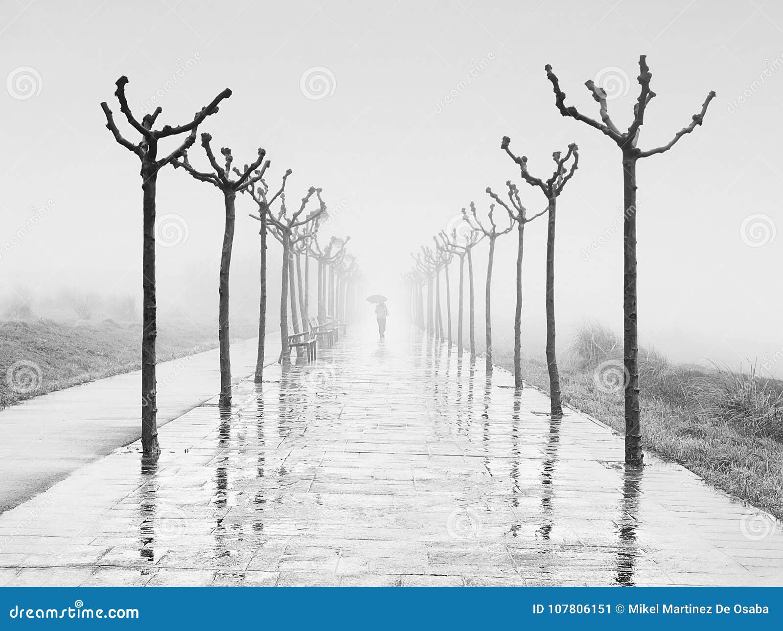 Path with Person Walking with Umbrella on Rainy Day at Winter Stock ...
