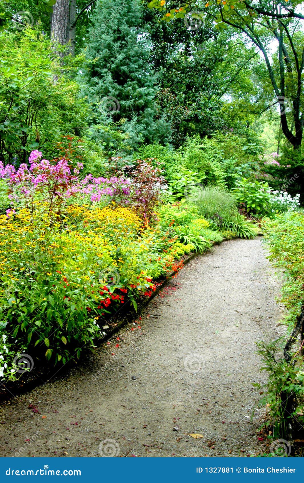 Path and Petals stock image. Image of trees, garden, petals - 1327881