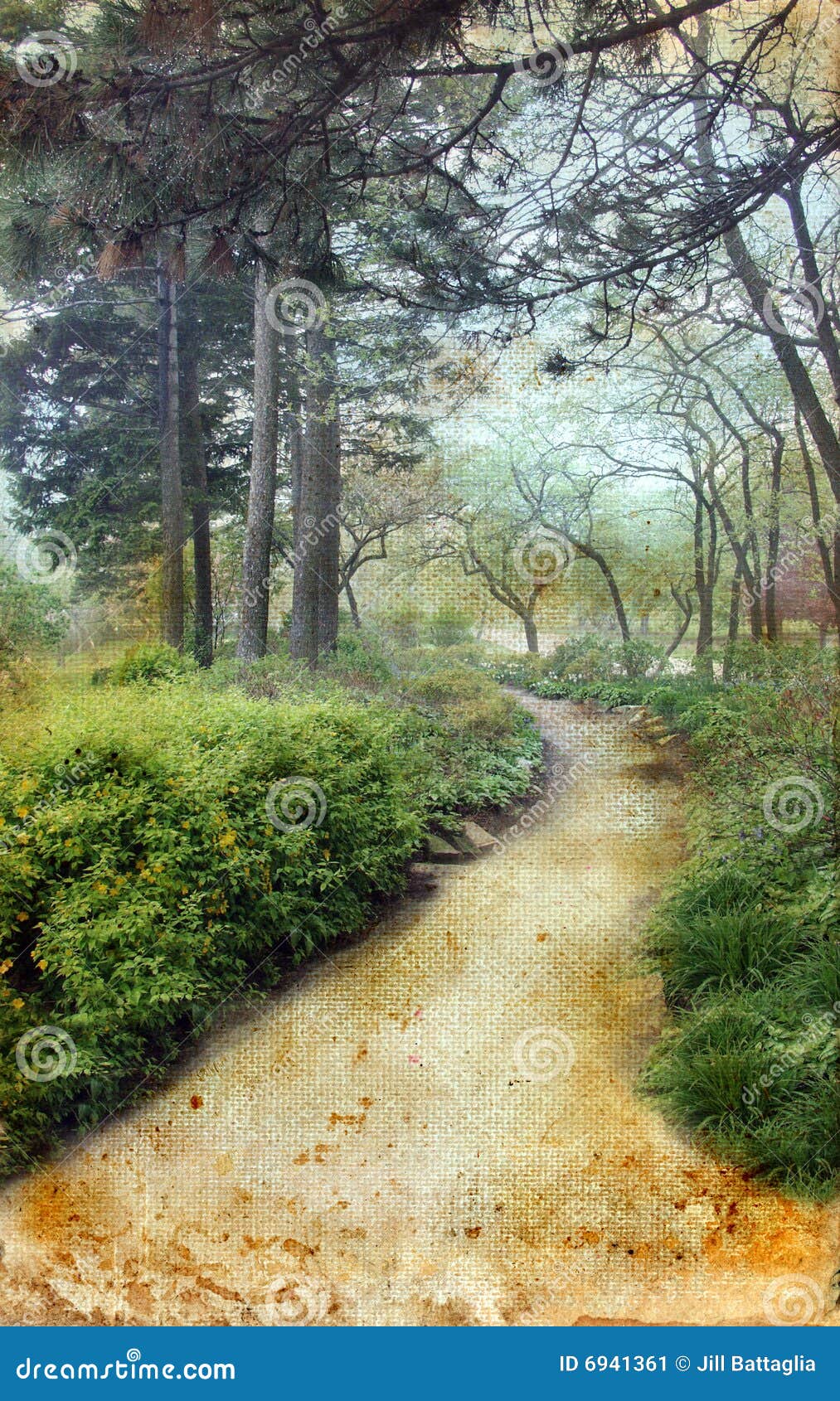 Path through the Pines on Grunge Background Stock Image - Image of ...