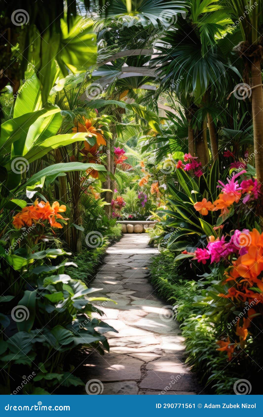 A Path with Plants and Flowers Stock Illustration - Illustration of ...