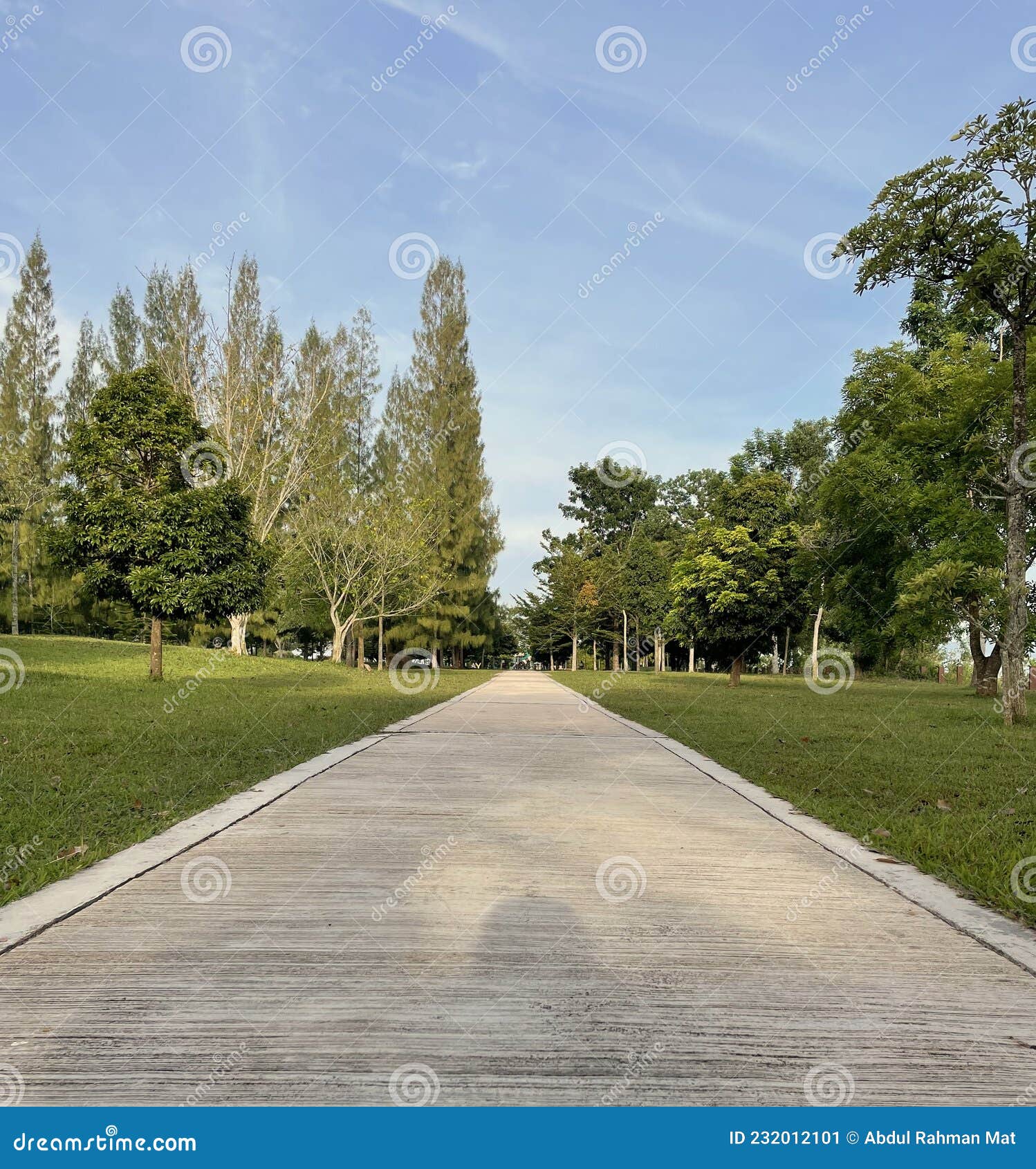 A path in public park stock image. Image of meadow, green - 232012101