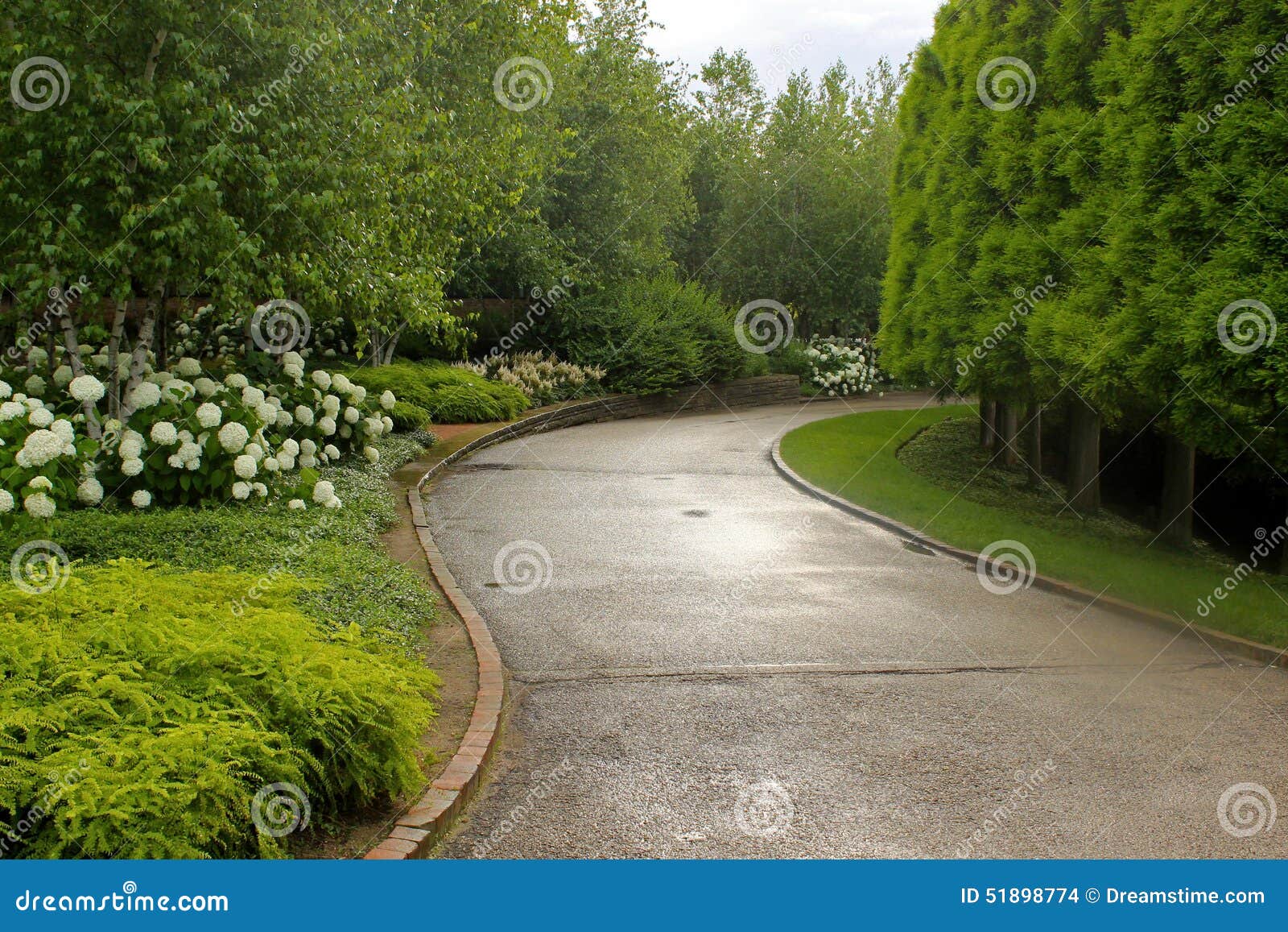 Path after the rain stock photo. Image of gardens, summer - 51898774
