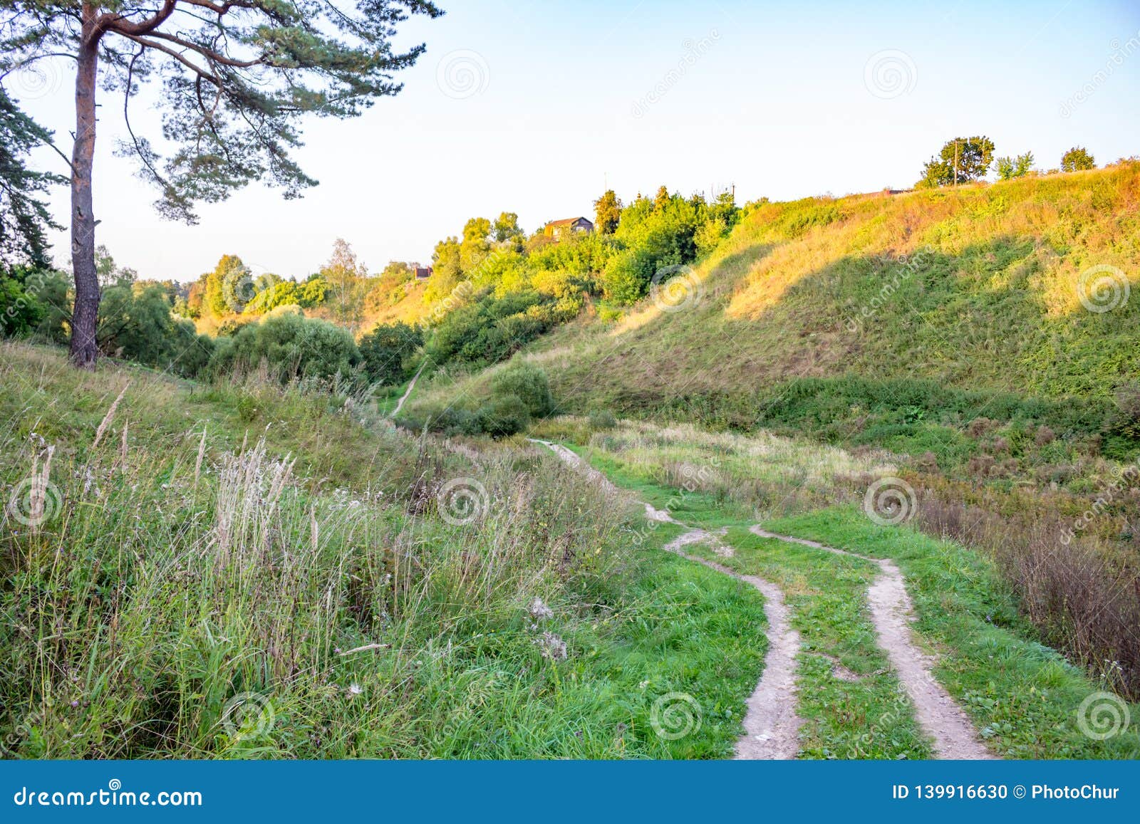 Path through the ravine stock photo. Image of russia - 139916630