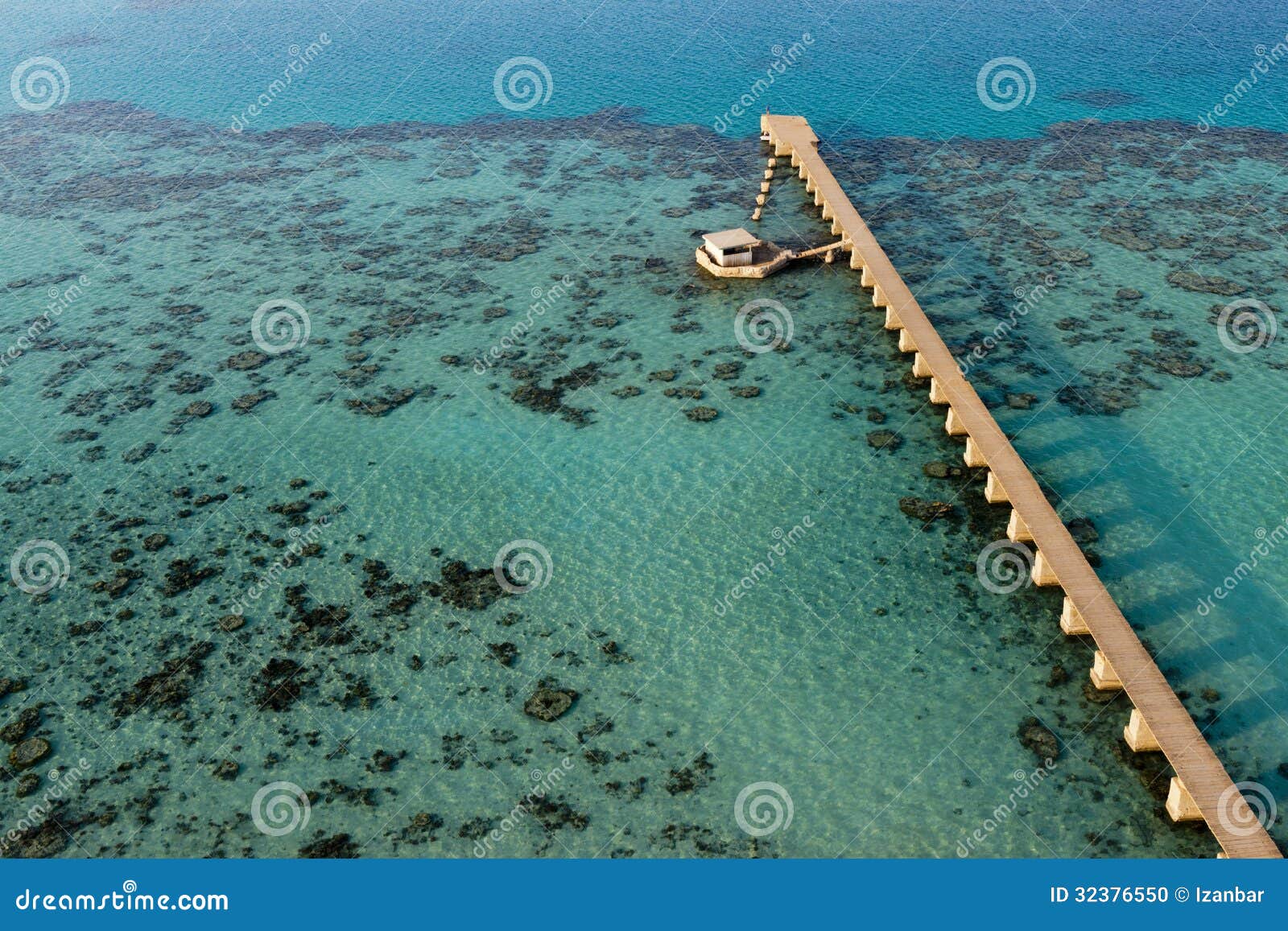 A path on the red sea reef stock photo. Image of exotic - 32376550