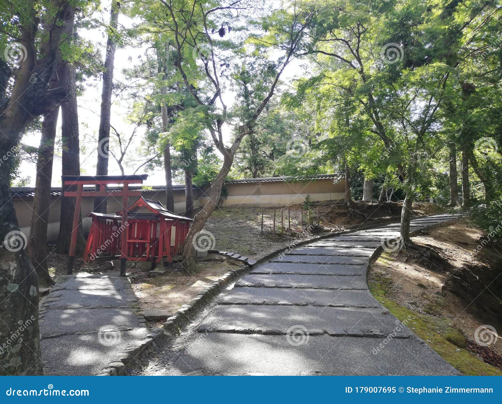Path with Red Shinto Gates editorial image. Image of track - 179007695