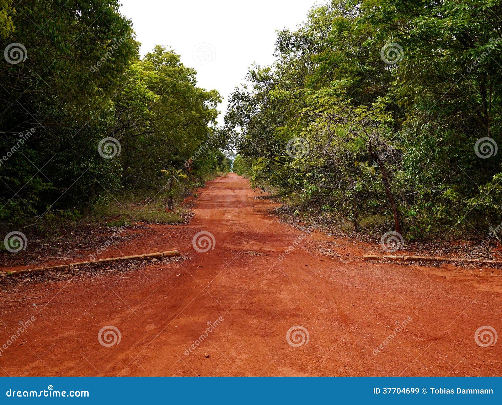 Path of red soil in Brazil stock image. Image of america - 37704699