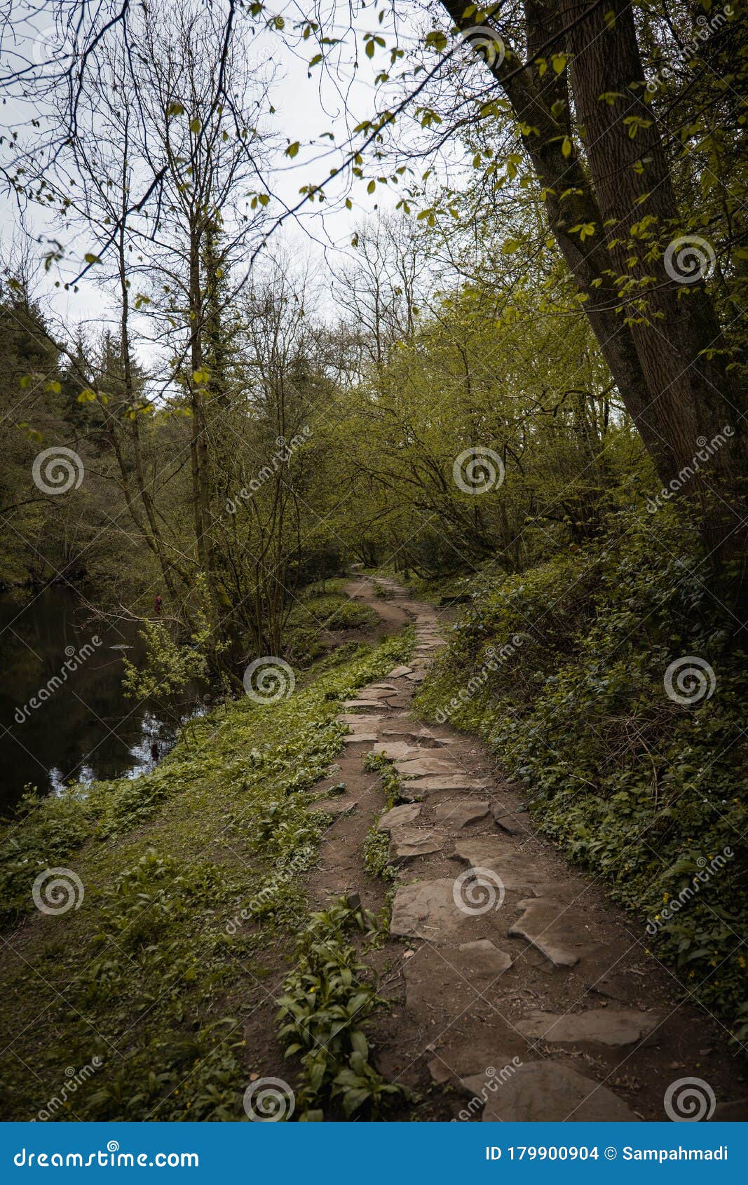 A Stone Path at River Bank stock photo. Image of britain - 179900904