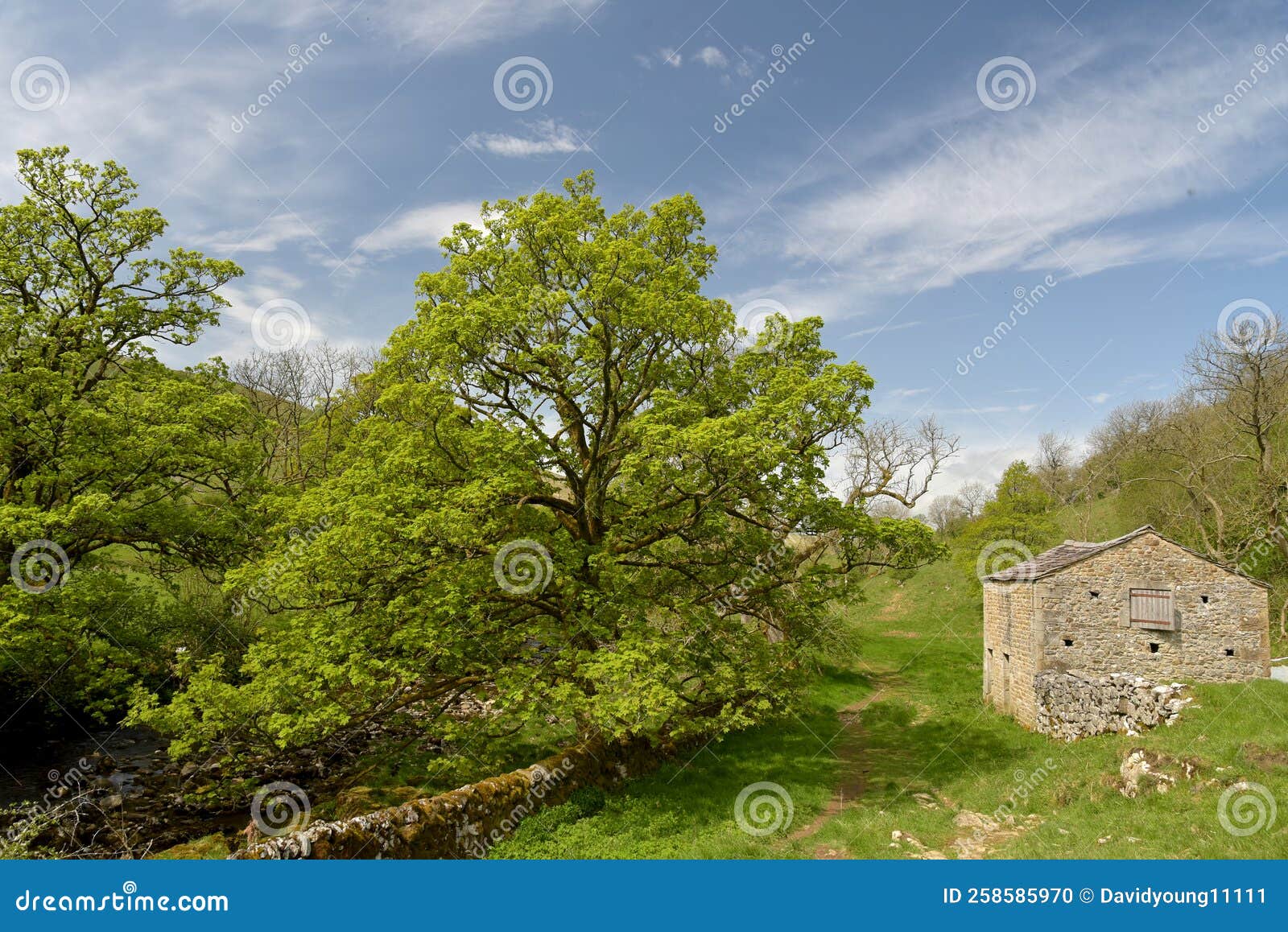 Path beside River Wharfe in Langstrothdale Stock Photo - Image of ...
