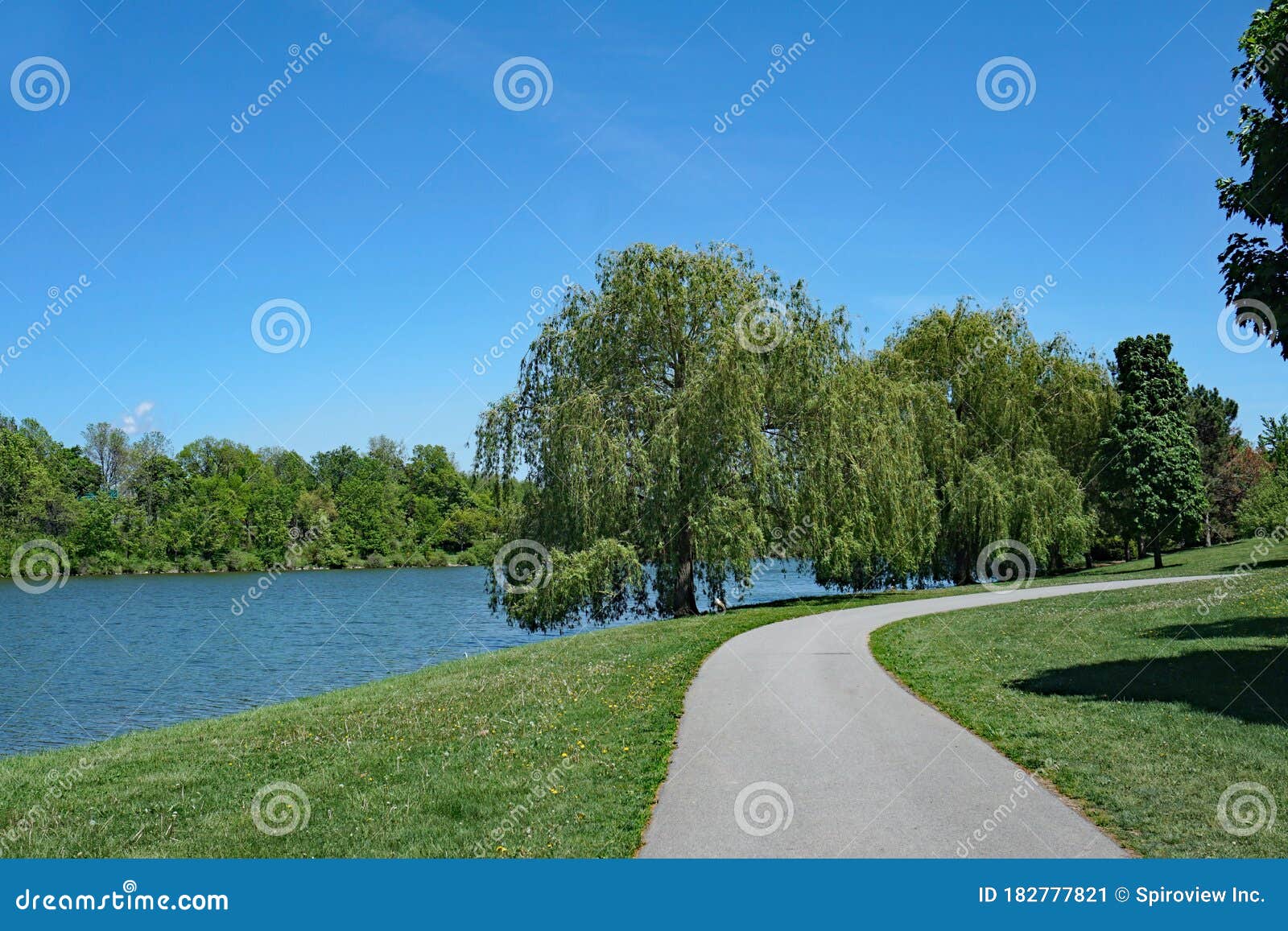 Path beside a River with Willow Trees Stock Image - Image of park, path ...