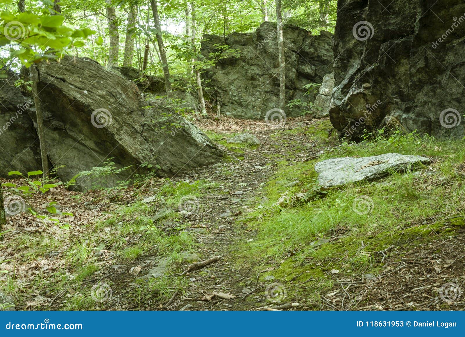 Trail Above Blackstone Gorge Stock Image - Image of outside, canopy ...