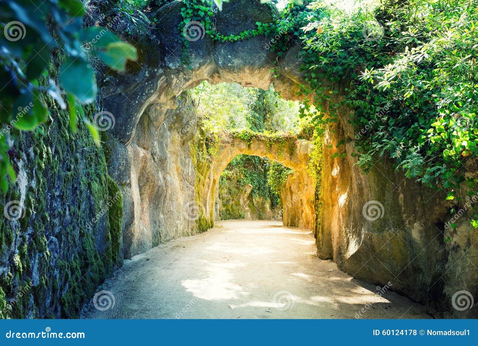 Path with rocks stock photo. Image of forest, fall, outside - 60124178