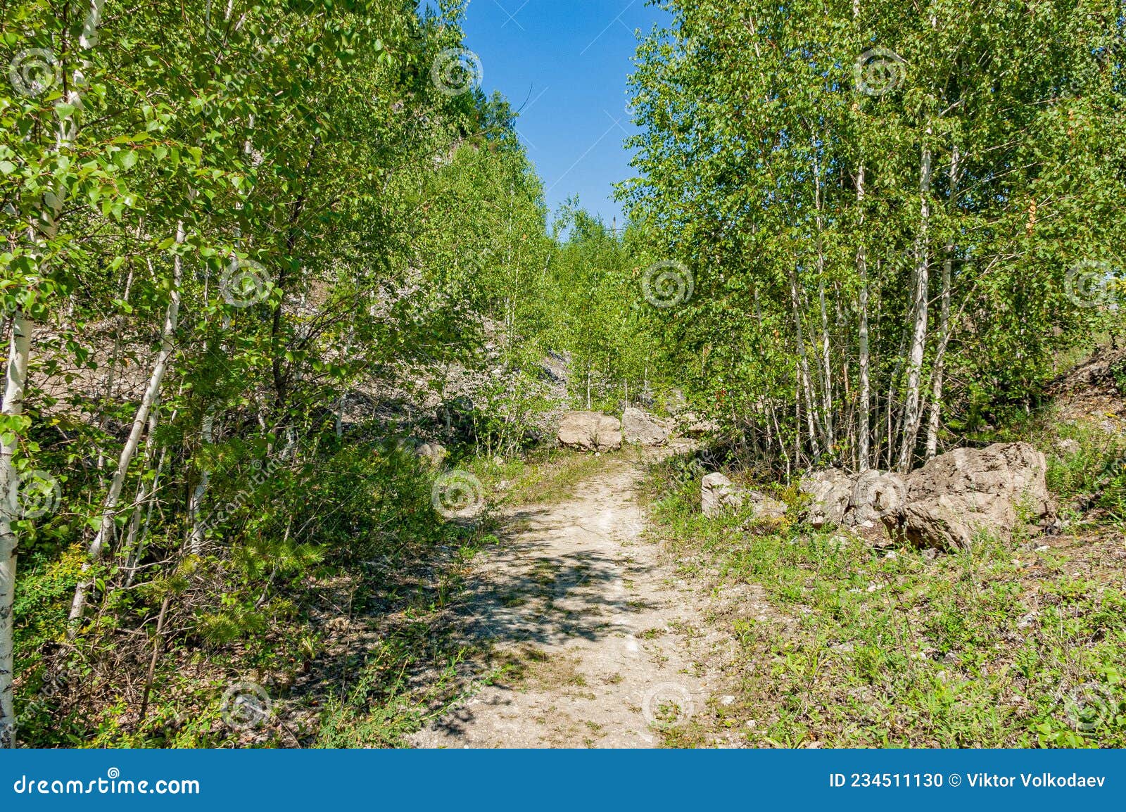 A path among the rocks! stock photo. Image of ñ‚ñ€oð¿ð° - 234511130