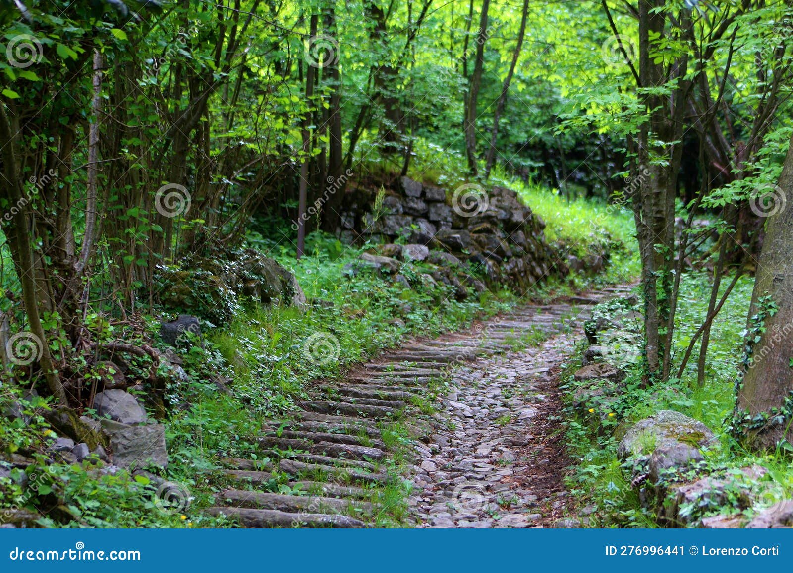 Path of rocks stock image. Image of wilderness, path - 276996441