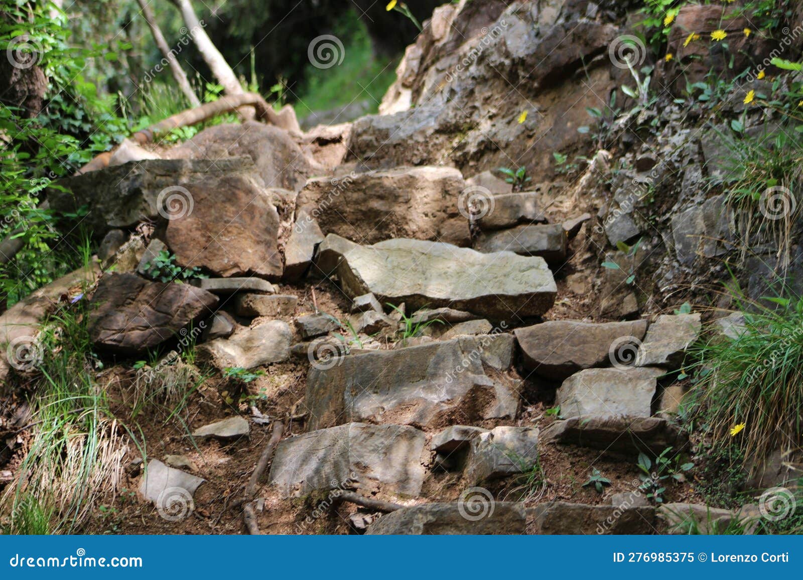 Path of rocks stock image. Image of trail, pond, soil - 276985375