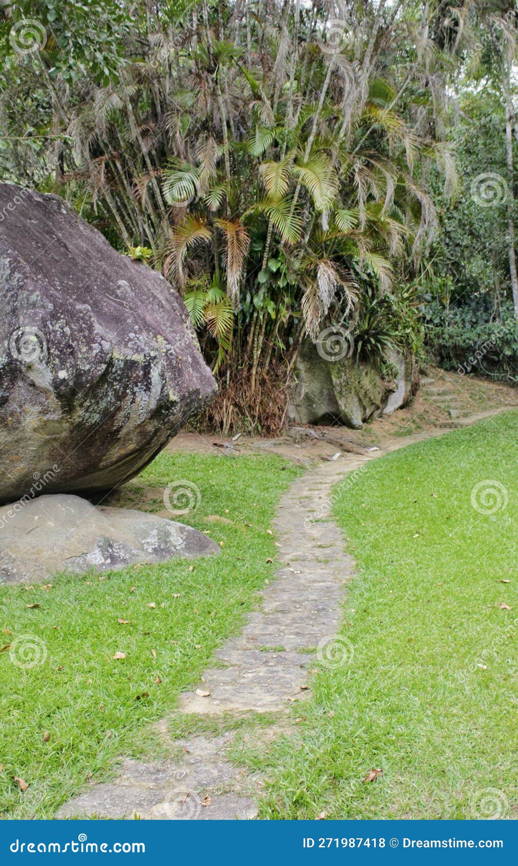 Path among Rocks, Plants, Grass and Trees in a National Park. Stock ...