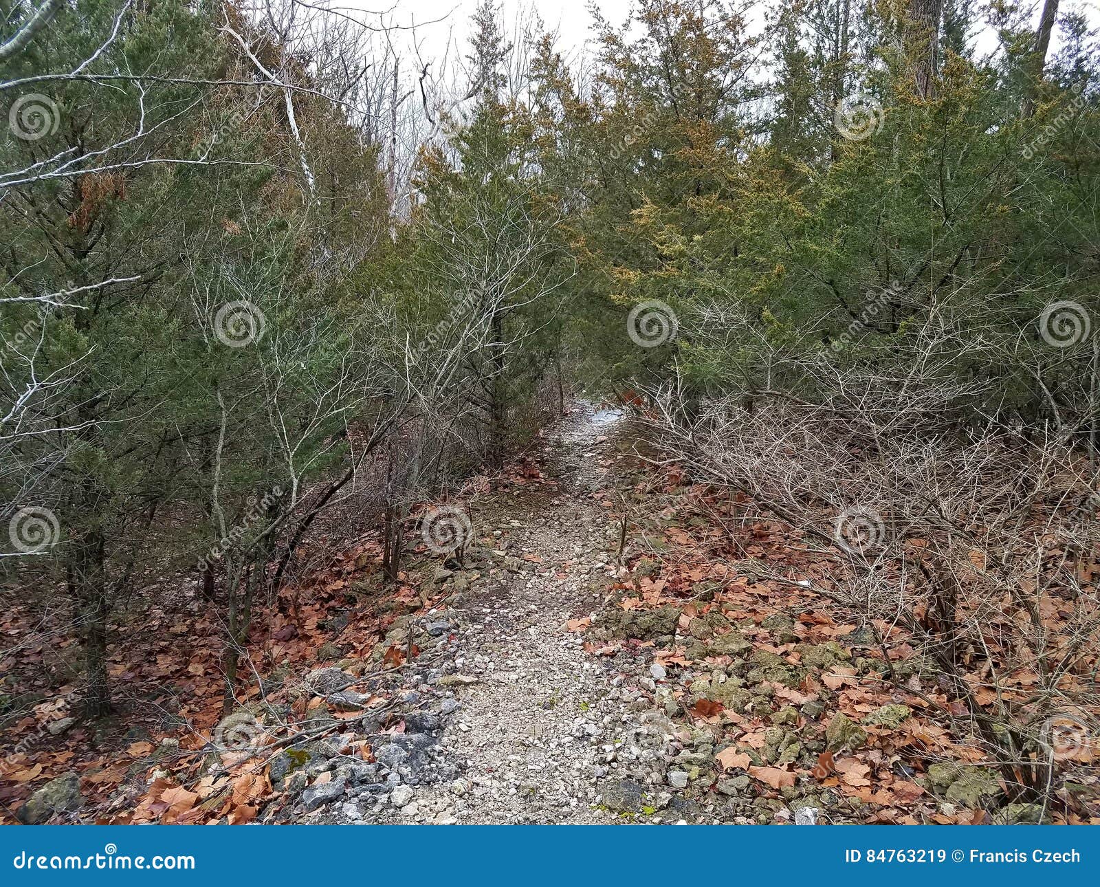 Path of Rocks stock image. Image of forest, pathway, rocky - 84763219