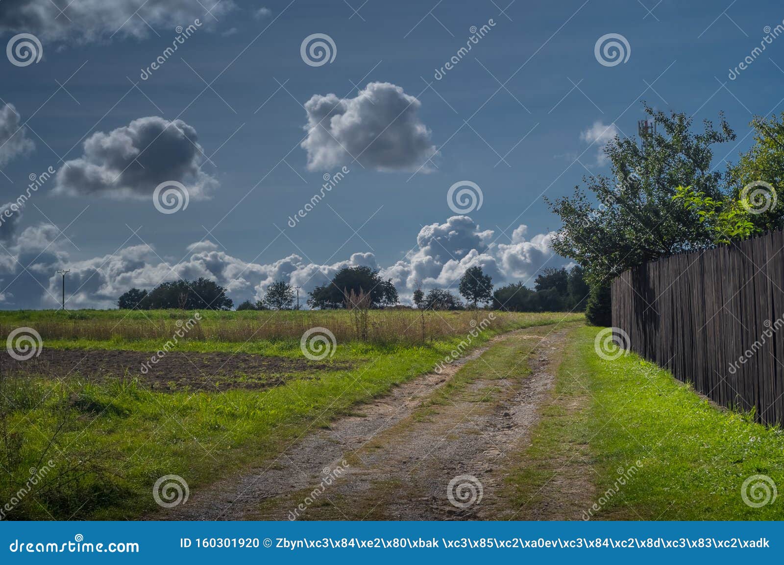 A Path that Runs between Fields. Stock Photo - Image of track, farming ...