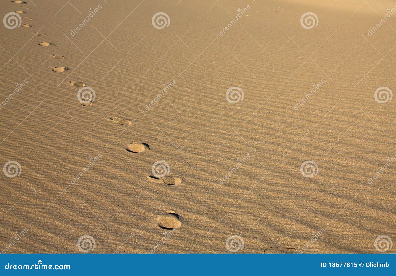 Path on the sand stock image. Image of national, sand - 18677815