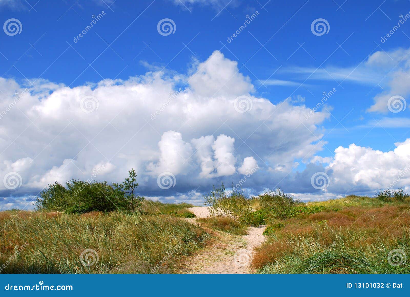 Path through the Sand Dunes Stock Photo - Image of beach, coast: 13101032