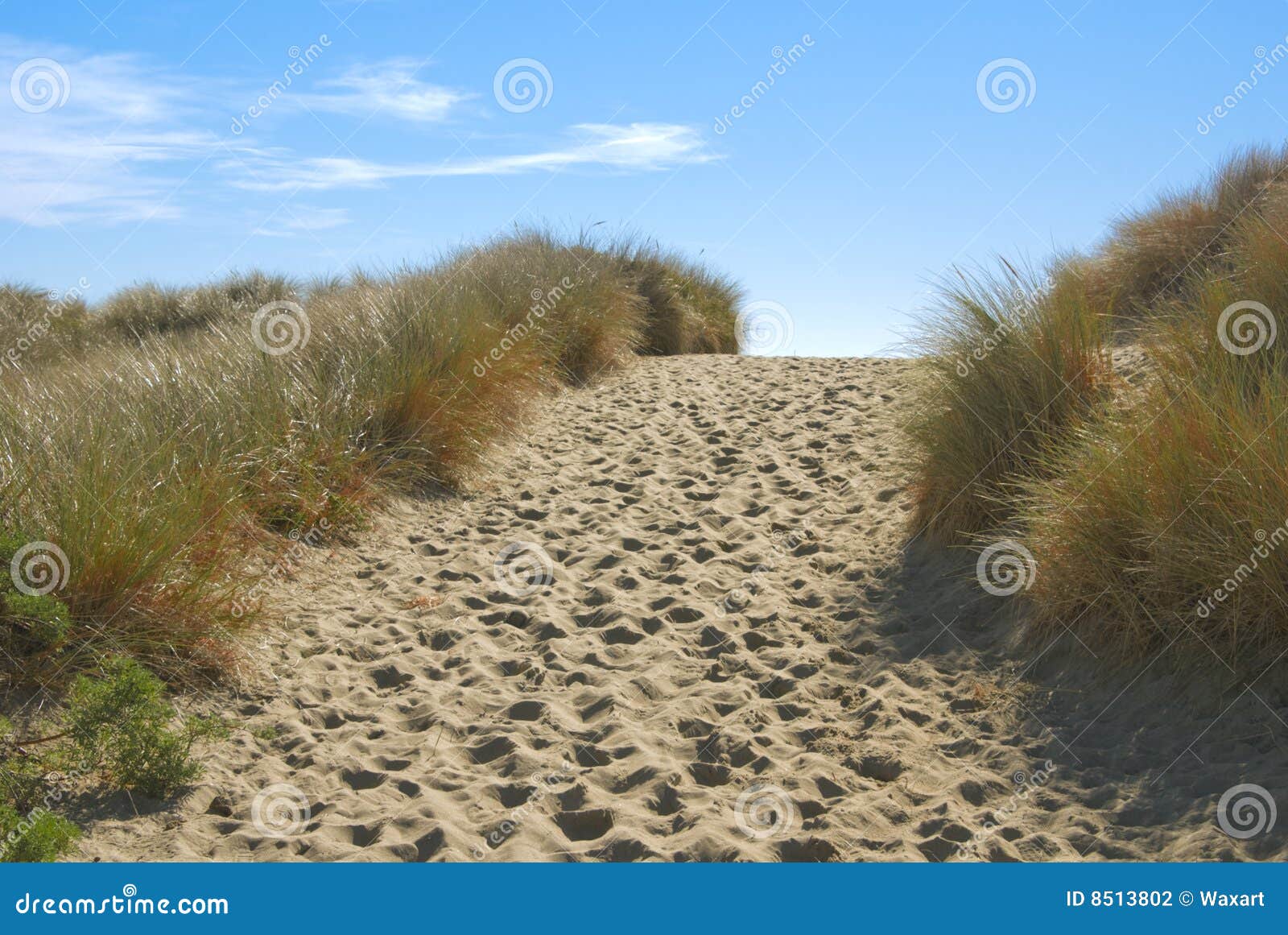 Path through sand dunes stock photo. Image of reyes, dunes - 8513802