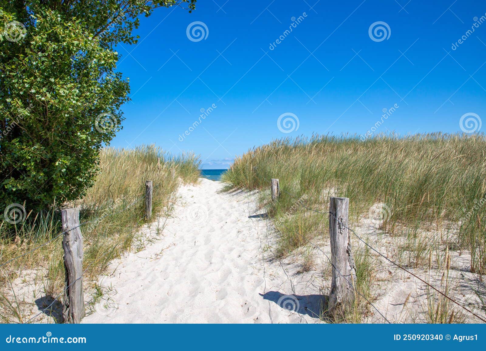 Path in the Sand Dunes on Baltic Sea Stock Photo - Image of dunes ...