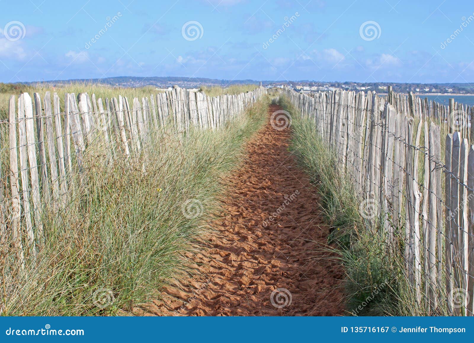 Path through Sand Dunes, Dawlish Warren Stock Image - Image of sand ...