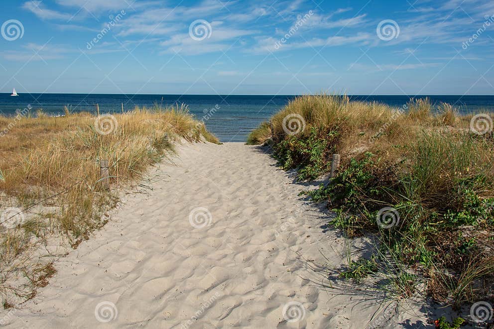 Path between the Sand Dunes Overlooking the Sea Stock Photo - Image of ...
