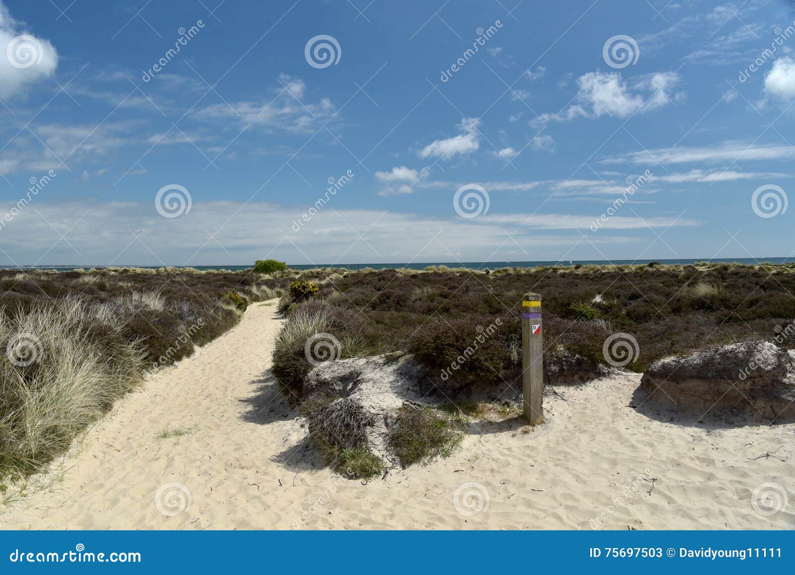 Path through Sand Dunes, Studland Nature Reserve Stock Image - Image of ...