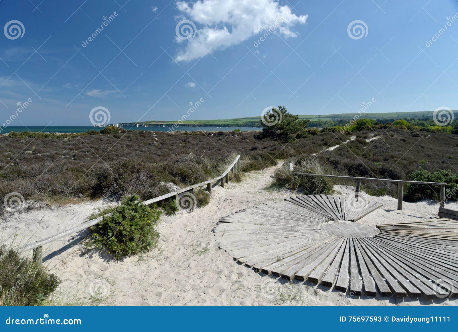 Path through Sand Dunes, Studland Nature Reserve Stock Image - Image of ...