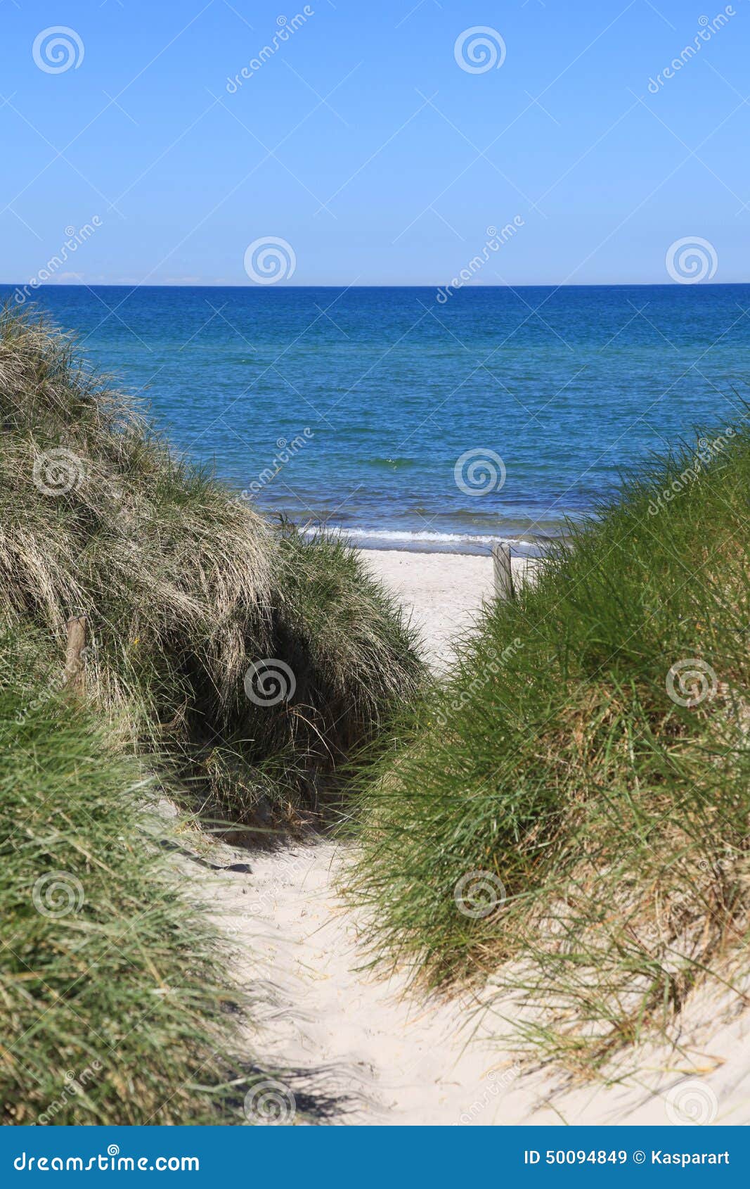 Path through Sand Dunes To the Beach Stock Image - Image of recreation ...