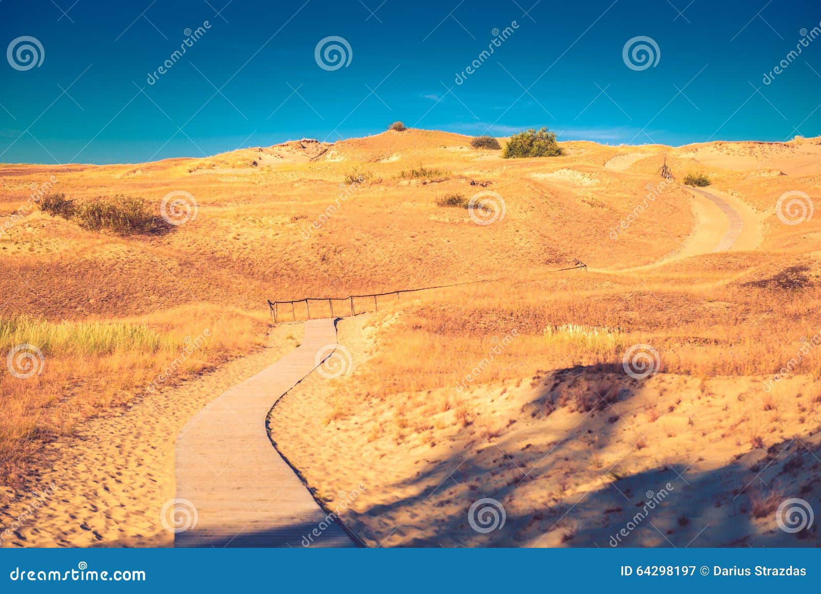 Path through sand stock image. Image of neringa, ground - 64298197