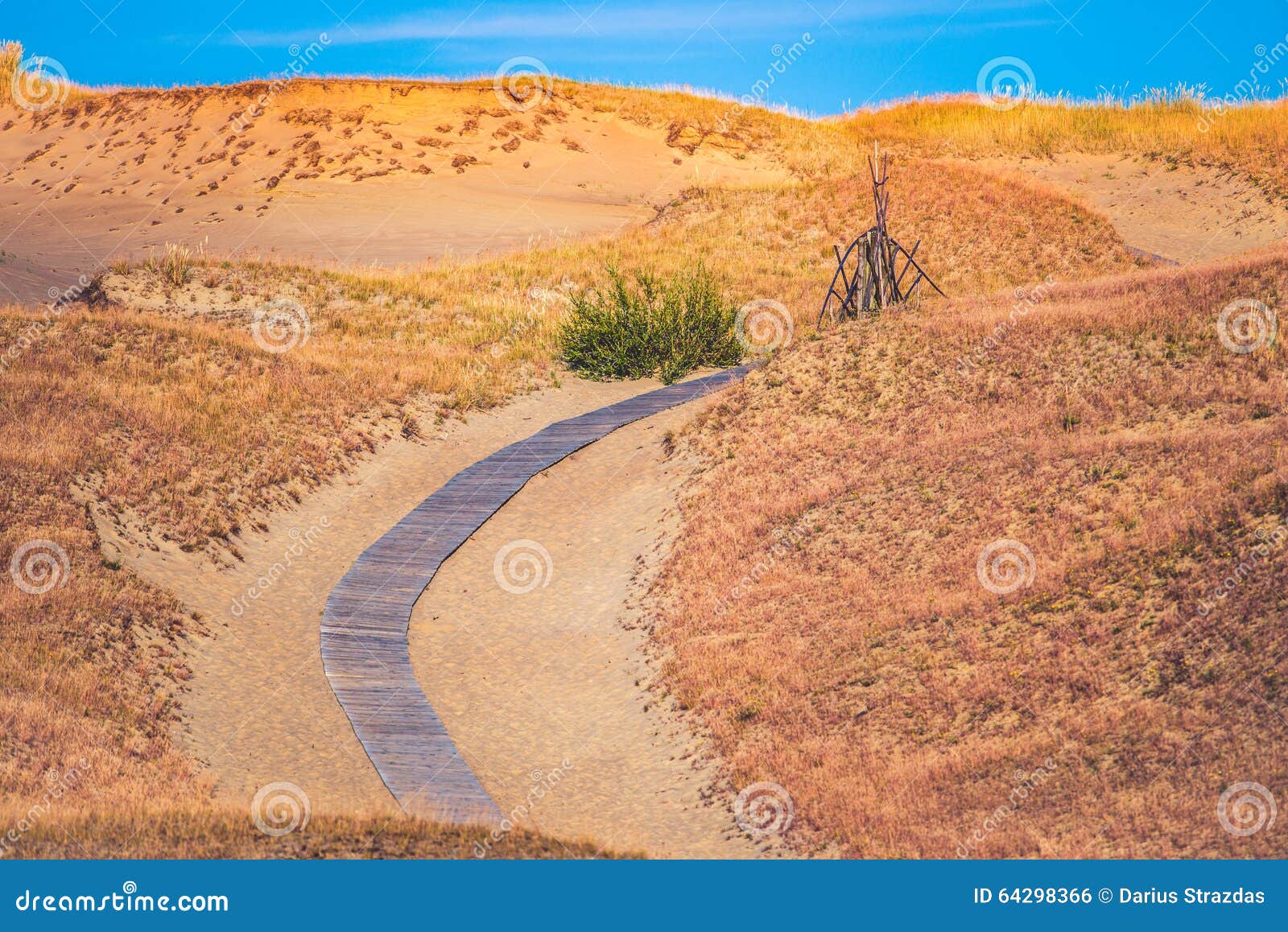 Path through sand stock photo. Image of beautiful, landscape - 64298366