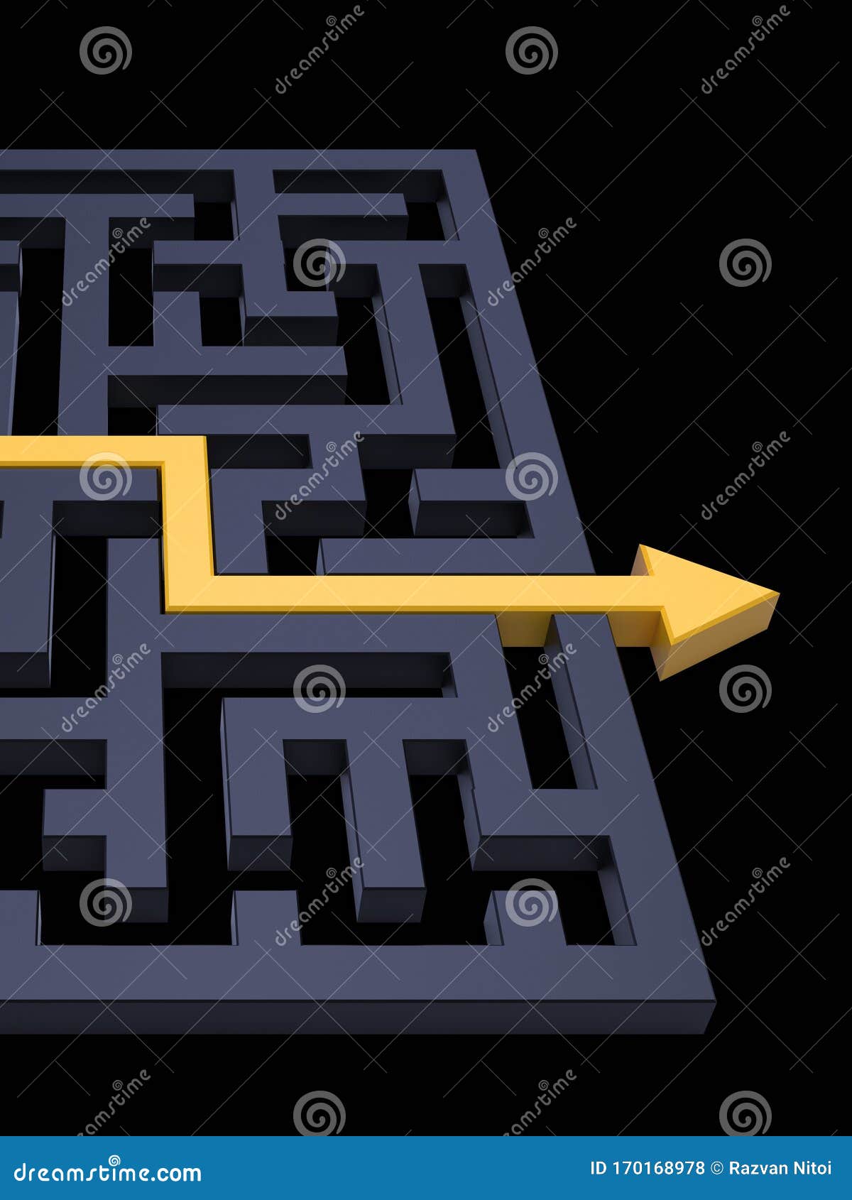 Path Showing the Direction Out of the Maze Stock Illustration ...