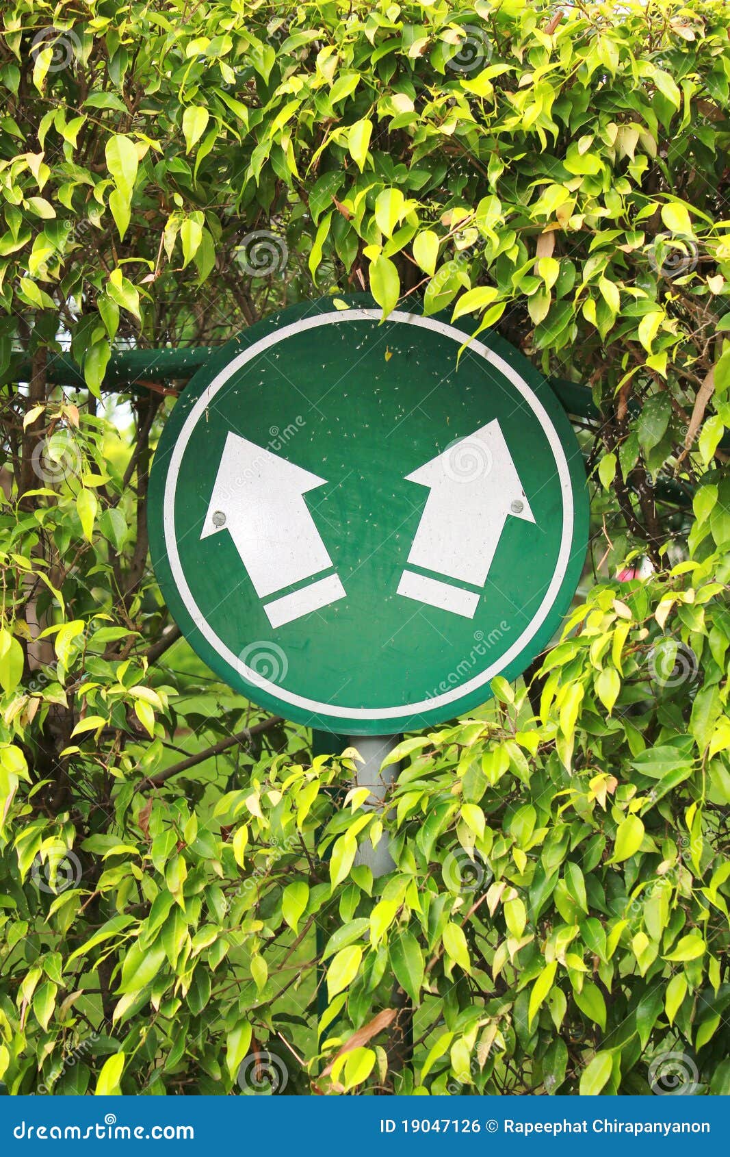 Path sign stock photo. Image of direct, concept, natural - 19047126