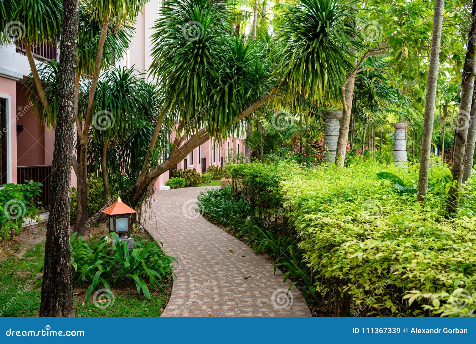 The Path on Site in Thailand Stock Image - Image of spring, lawn: 111367339