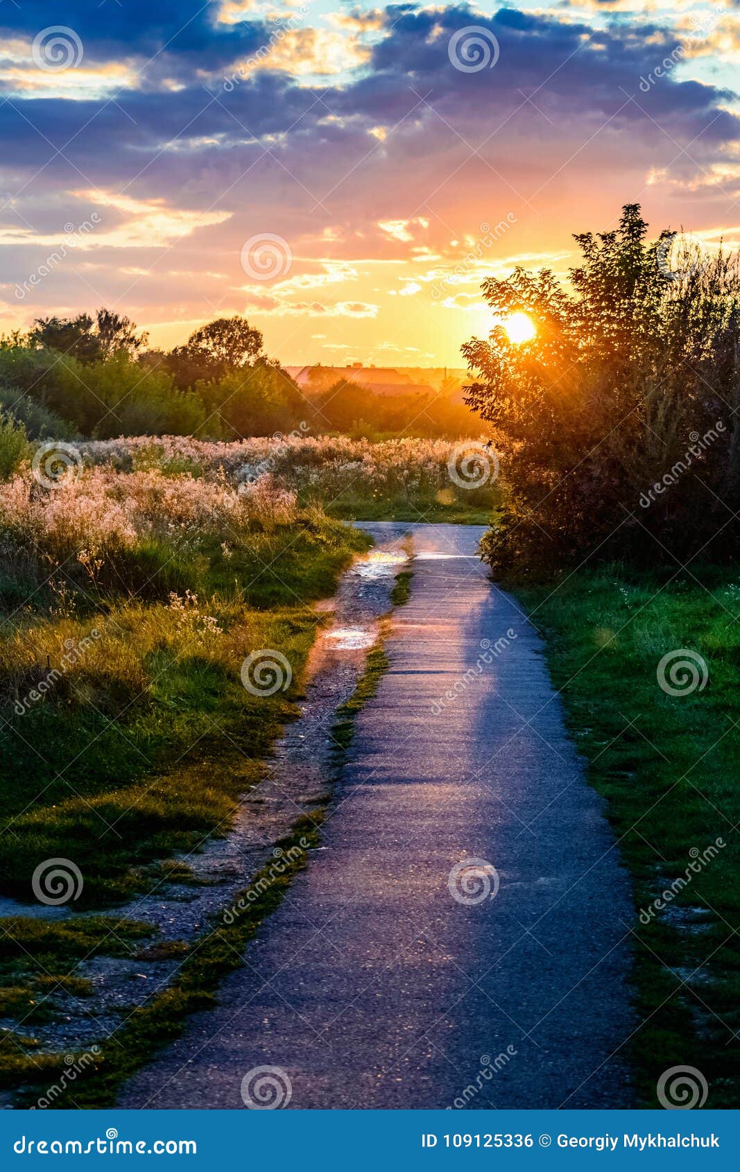 Path sky sunset sunrise stock photo. Image of gold, color - 109125336