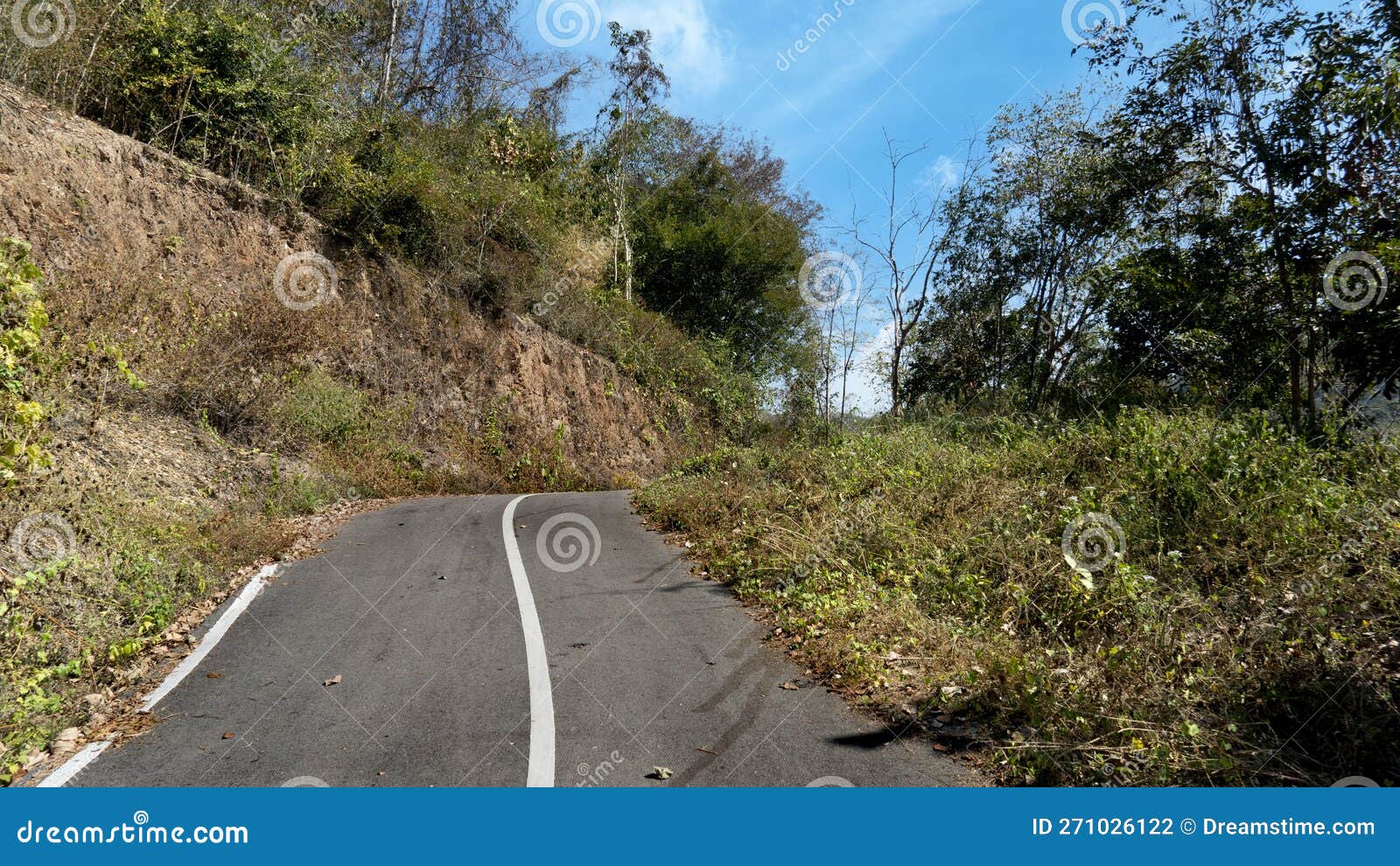 Path of a Small Asphalt Road with Forward Bends. on Both Sides of the ...